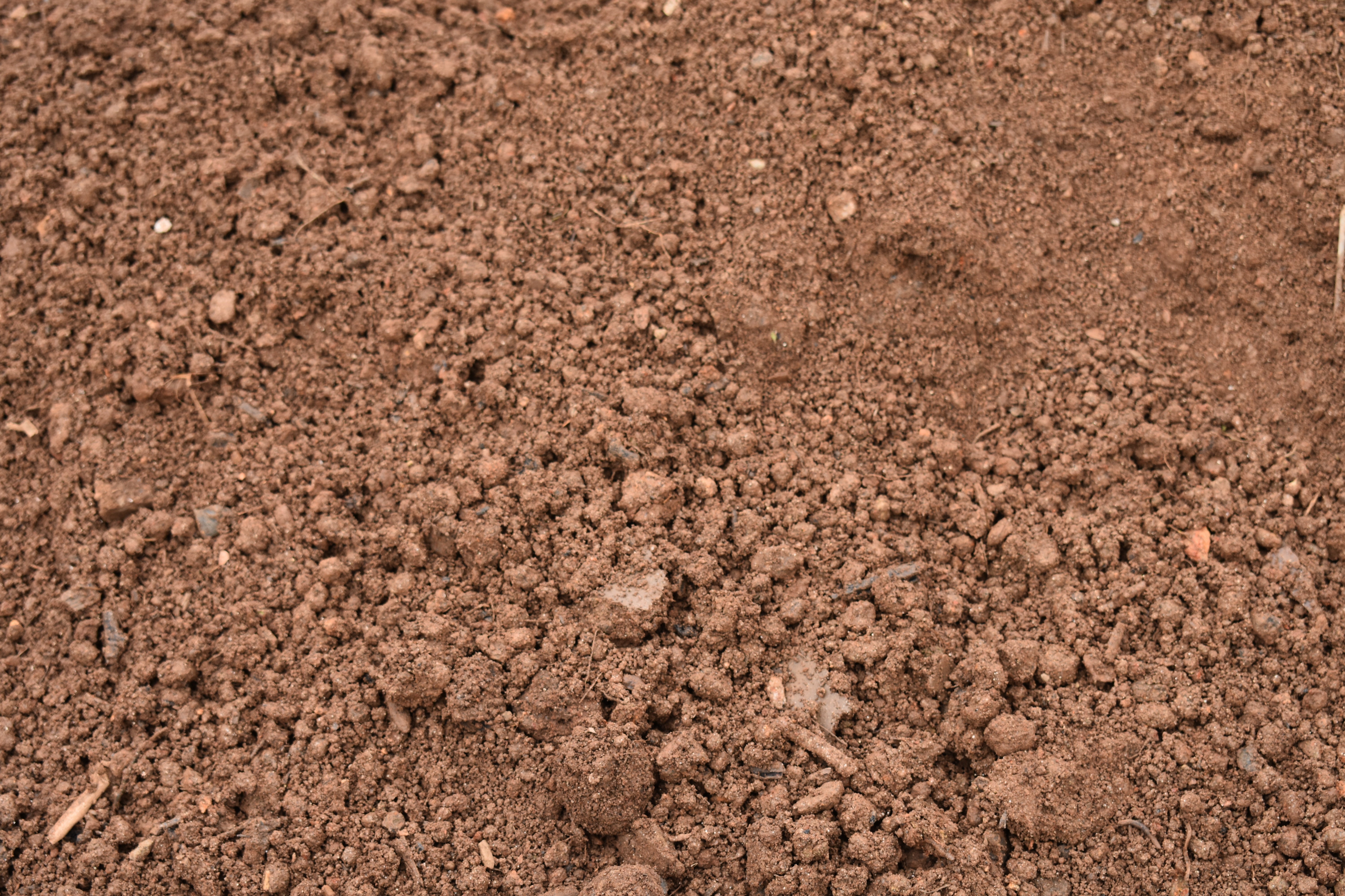 Topsoil-Premium – The Yard